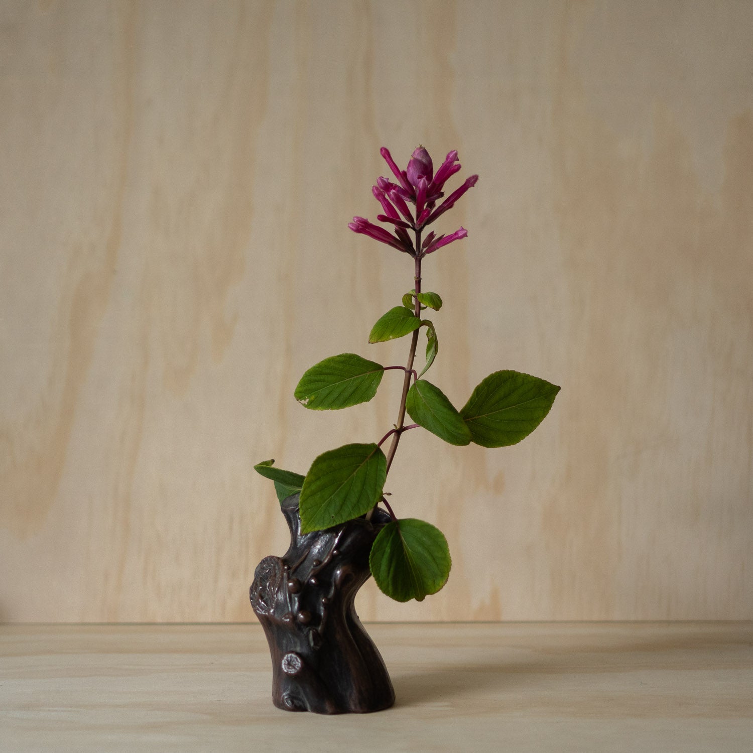 Vintage Japanese Ceramic Tree Stump Vase – Kanso House